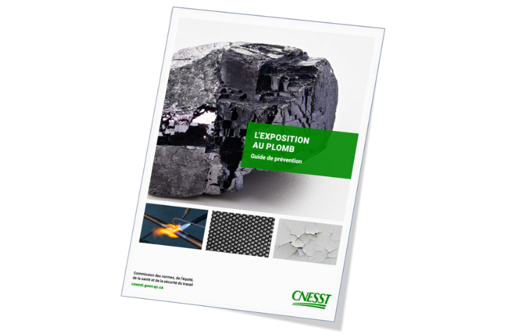 Nouveau guide sur la prévention de l’exposition au plomb - Corporation ...